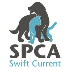 SPCA Swift Current | How to Adopt